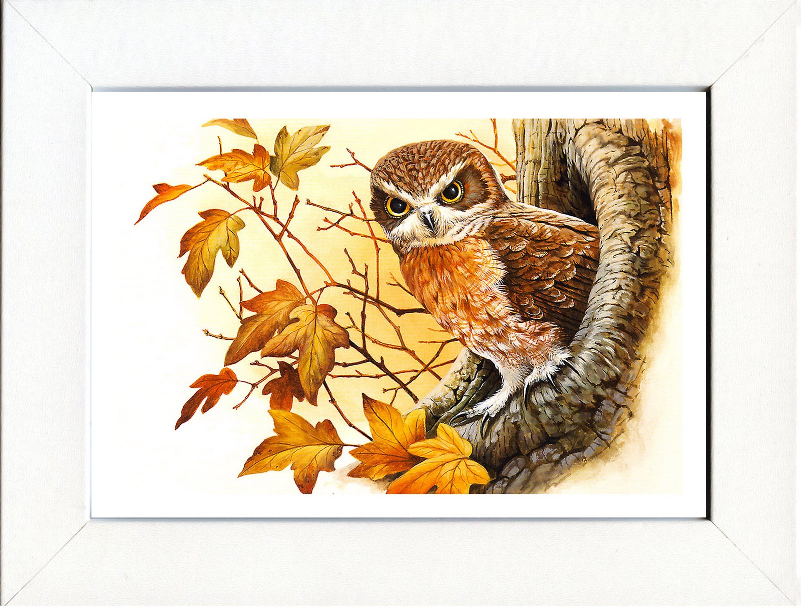 jjjewel.resimlerim: KUŞ VE DOĞA TEMALI RESİMLER