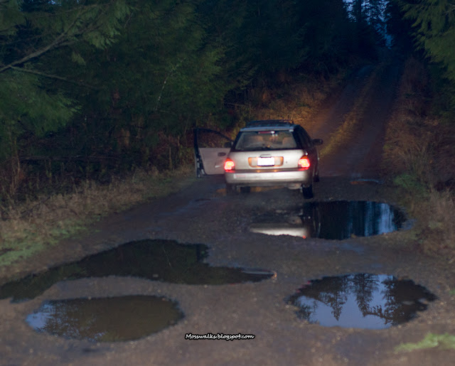 Walks with Moss: Notch pass east to Bark Shanty