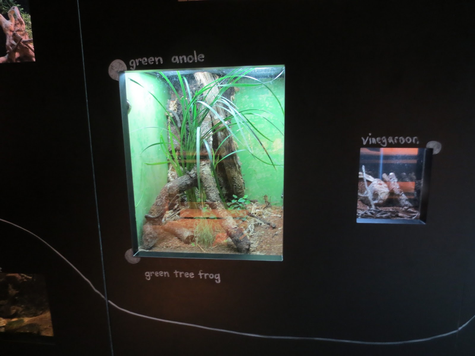 Adventures of an Orlando Mom: Toddler Fun at the Orlando Science Center