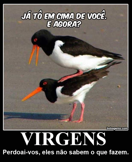 Melhores imagens Desmotivacionais Sem sentido Sem sentido