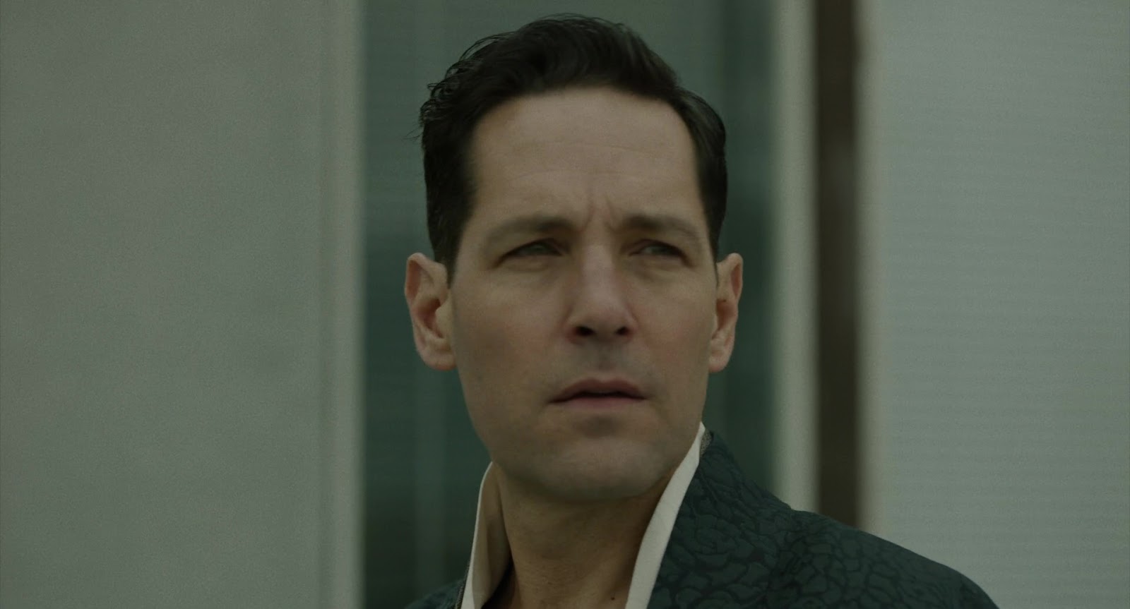 ausCAPS: Paul Rudd shirtless in The Catcher Was A Spy