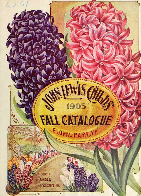 Tenth Letter of the Alphabet: Lettering: John Lewis Childs’ Catalogues ...