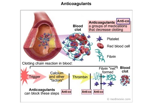 Anticoagulant drugs