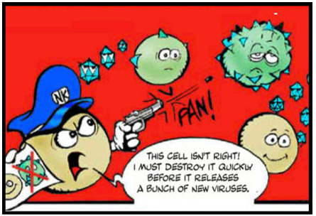 Dr. Richards Biology Blog: Unit 8-The Immune System