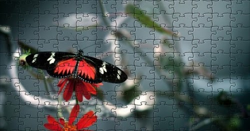 Fluture | Puzzle Games