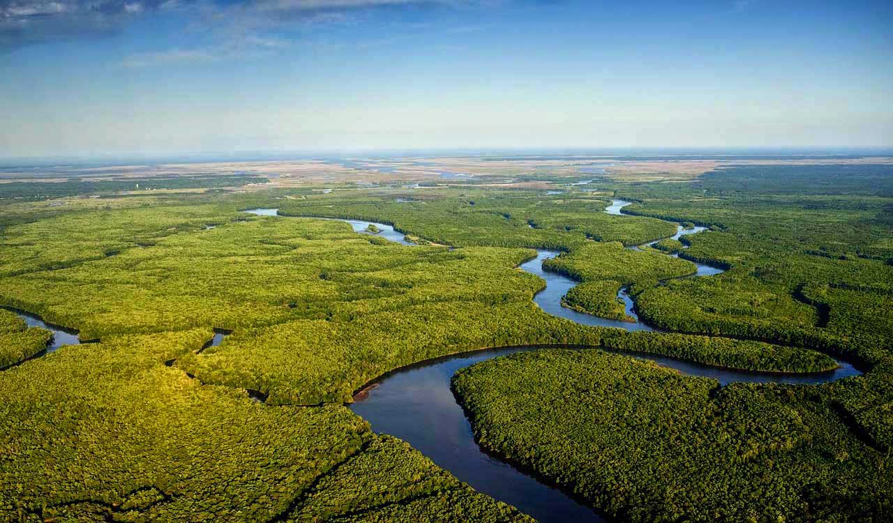 AS MAIS BELAS IMAGENS DA NATUREZA