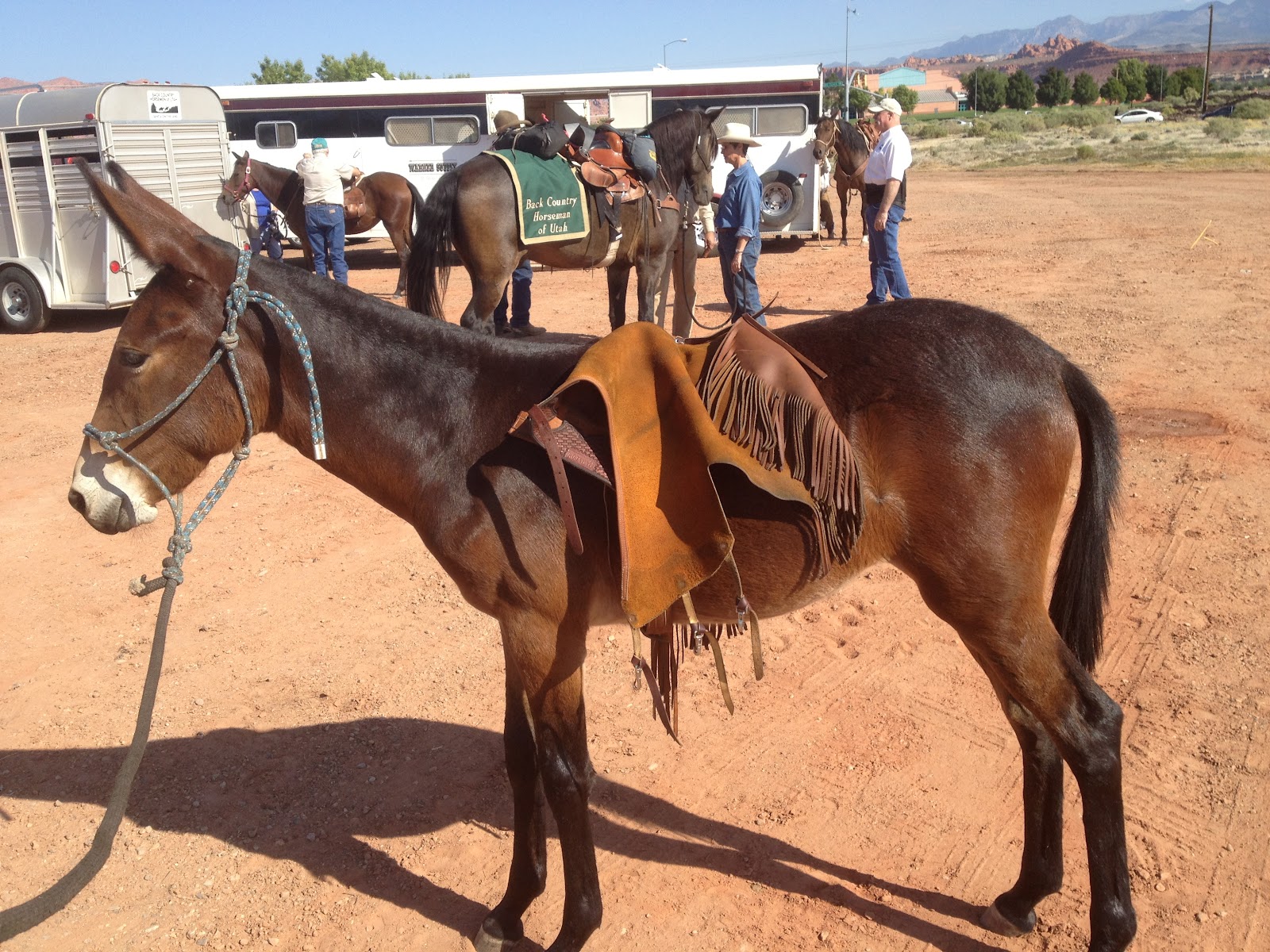 Longears and Sourdough: Kids train Mules train Kids