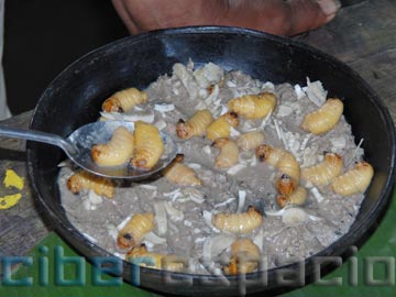 LAS CHICAS SUPER PODEROSAS: LA CULTURA ACHUAR