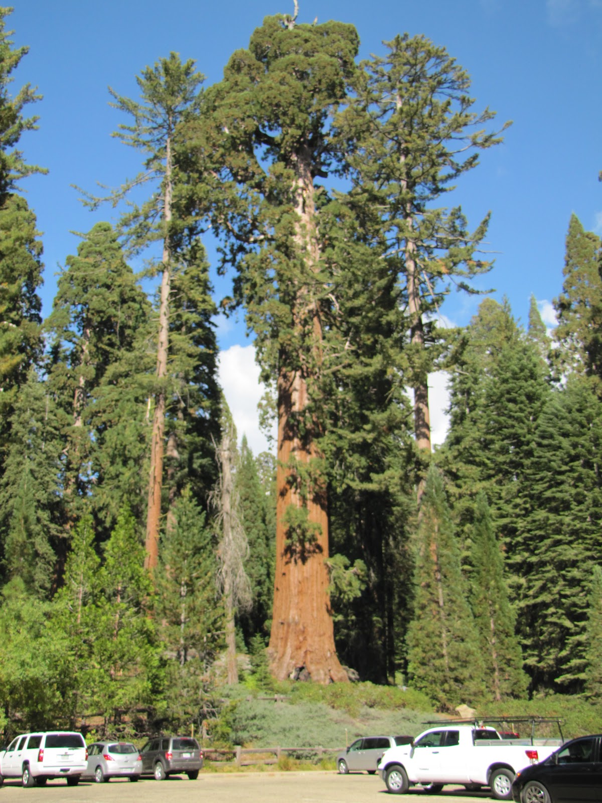 To Behold the Beauty: Sequoia and Kings Canyon National Parks
