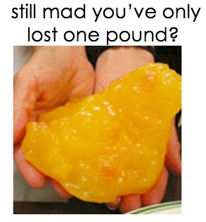 My Journey on the Pink Method: What does 1 pound of fat look like?