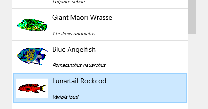 Delphi: Firemonkey ListView veri tabanıyla birlikte kullanımı