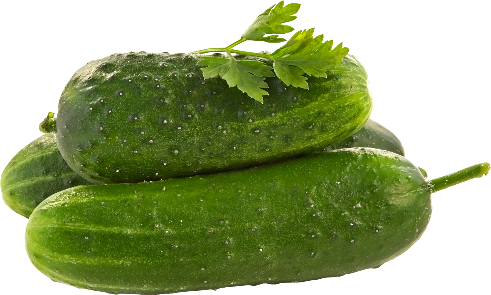 Health Check; Cucumber