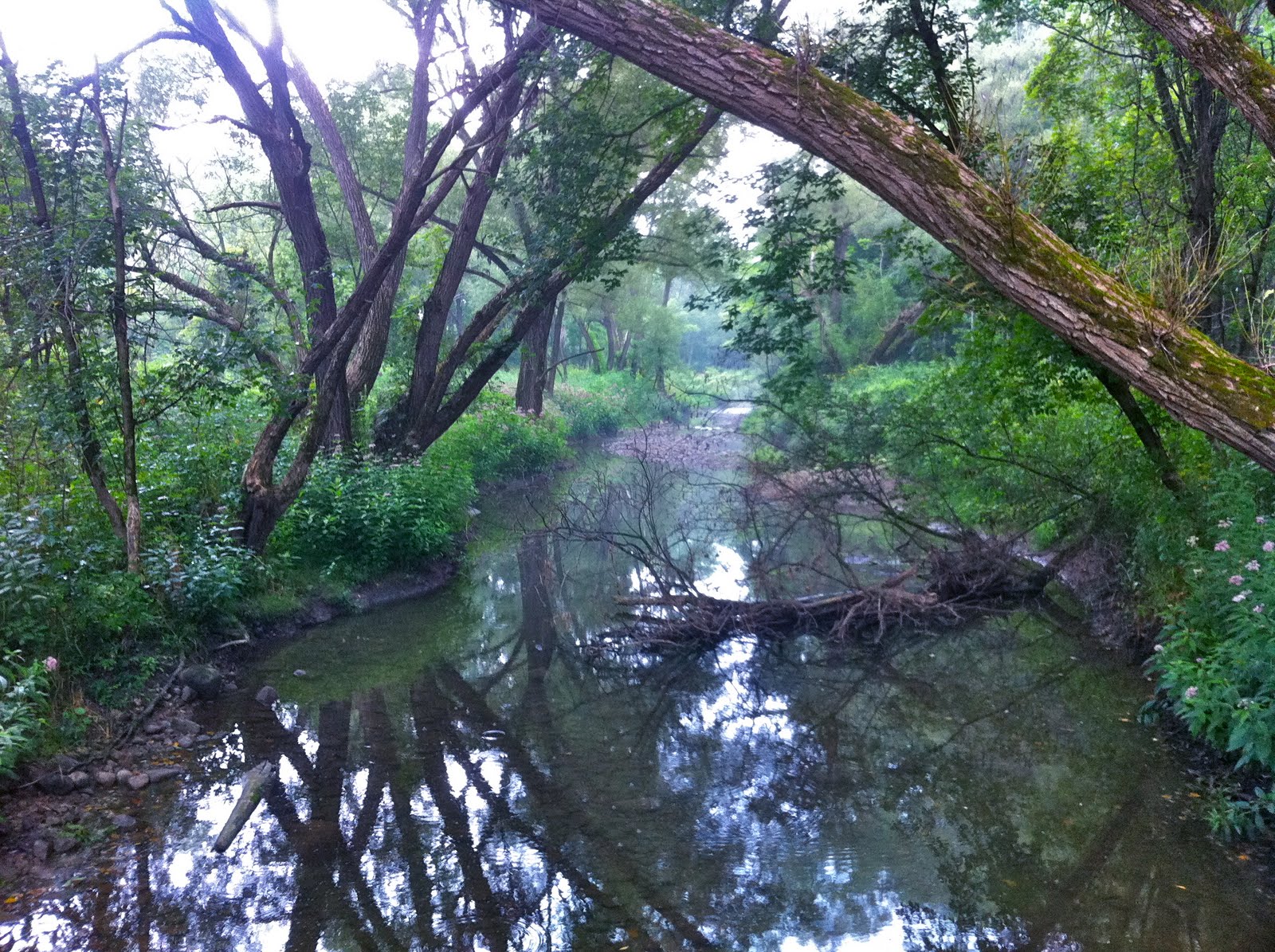 The Journey is the Reward.: Fanshawe Conservation Area...... and ...