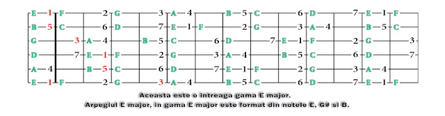 Guitars Friend ® | Lectii chitara