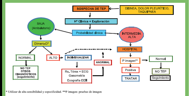 Rote Vascular: Enfermedad Tromboembolica Venosa