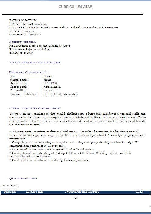 professional cv example