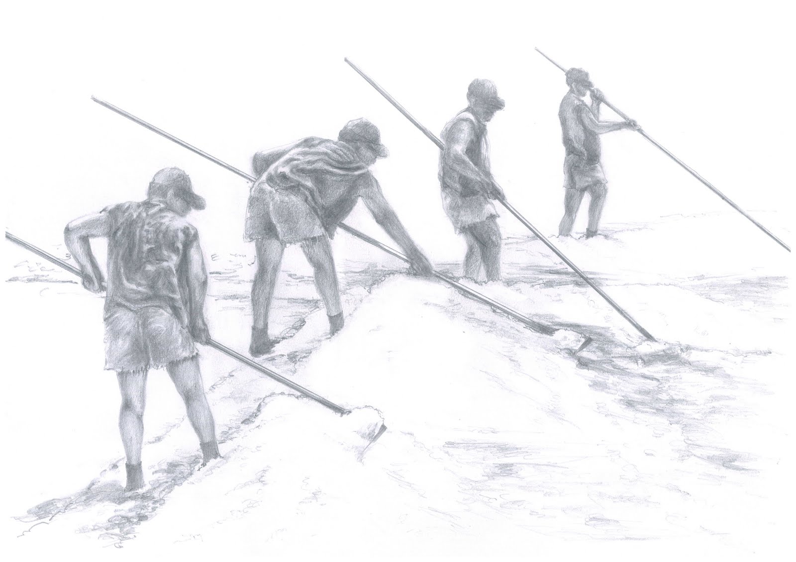 Saber do Sal: Breve História da Salinicultura em Portugal