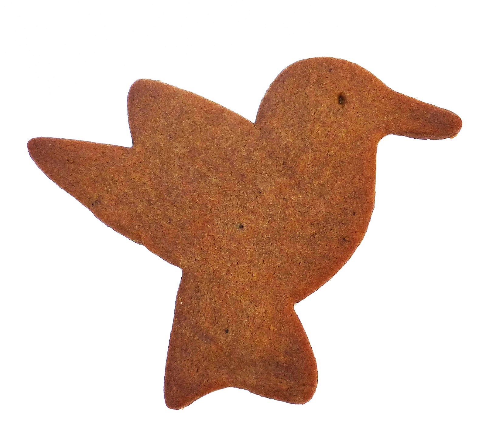 THE GINGER COOKIE: RETURN OF THE POGEN