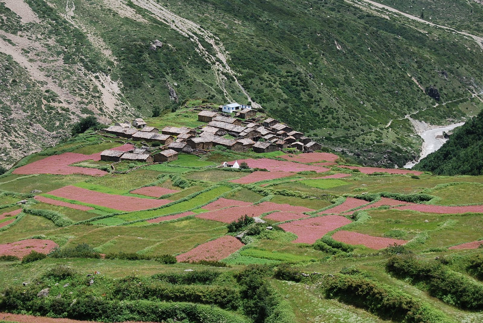 Travel in the Himalayas: DARMA VALLEY-FOR THE BEGINNERS, WHO WISH TO ...