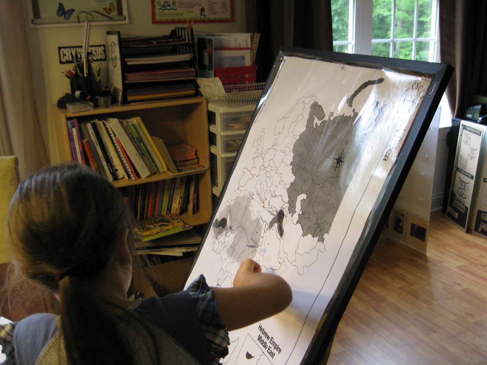 Solagratiamom: Pin Maps - Cycle 1