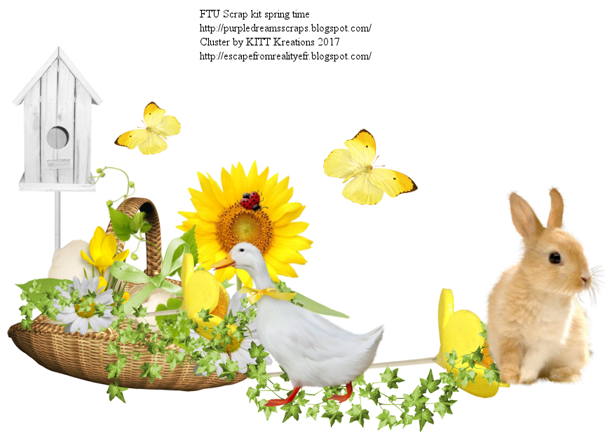 Escape From Reality Blog: FTU 'Spring Time' Cluster & Cluster Frames