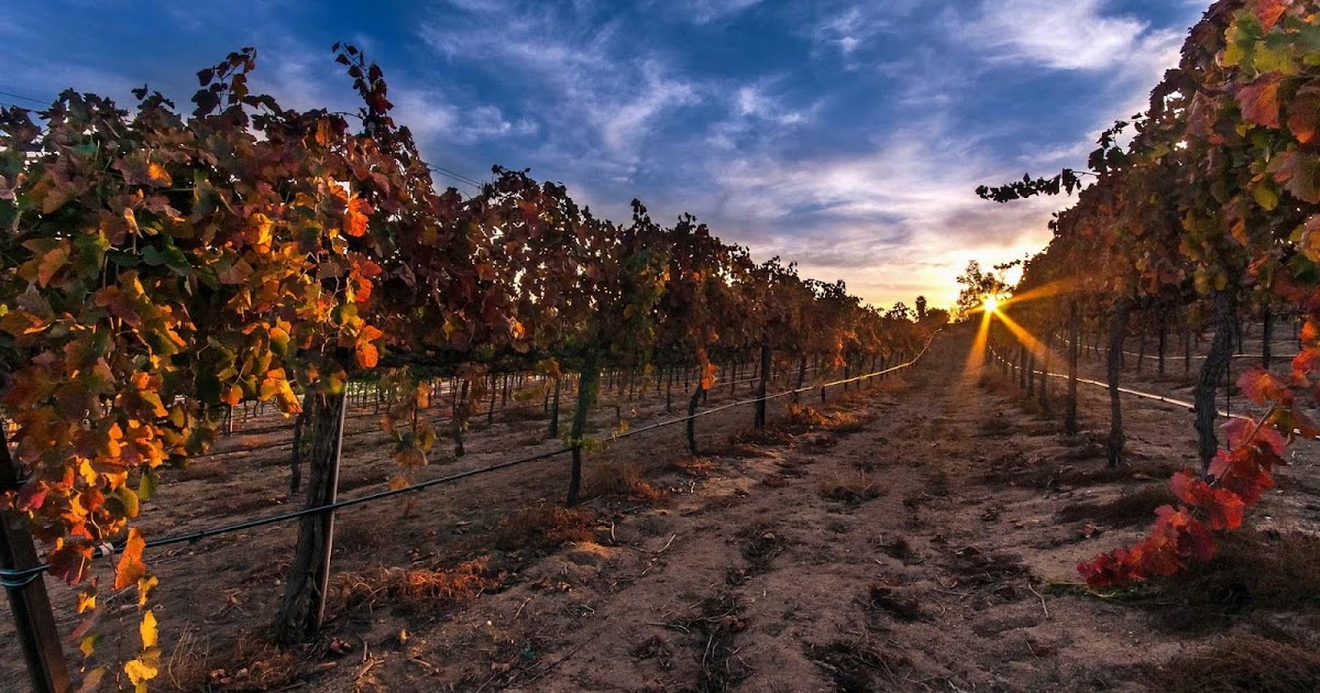 Romão Gogolla: História da cidade de Vinhedo