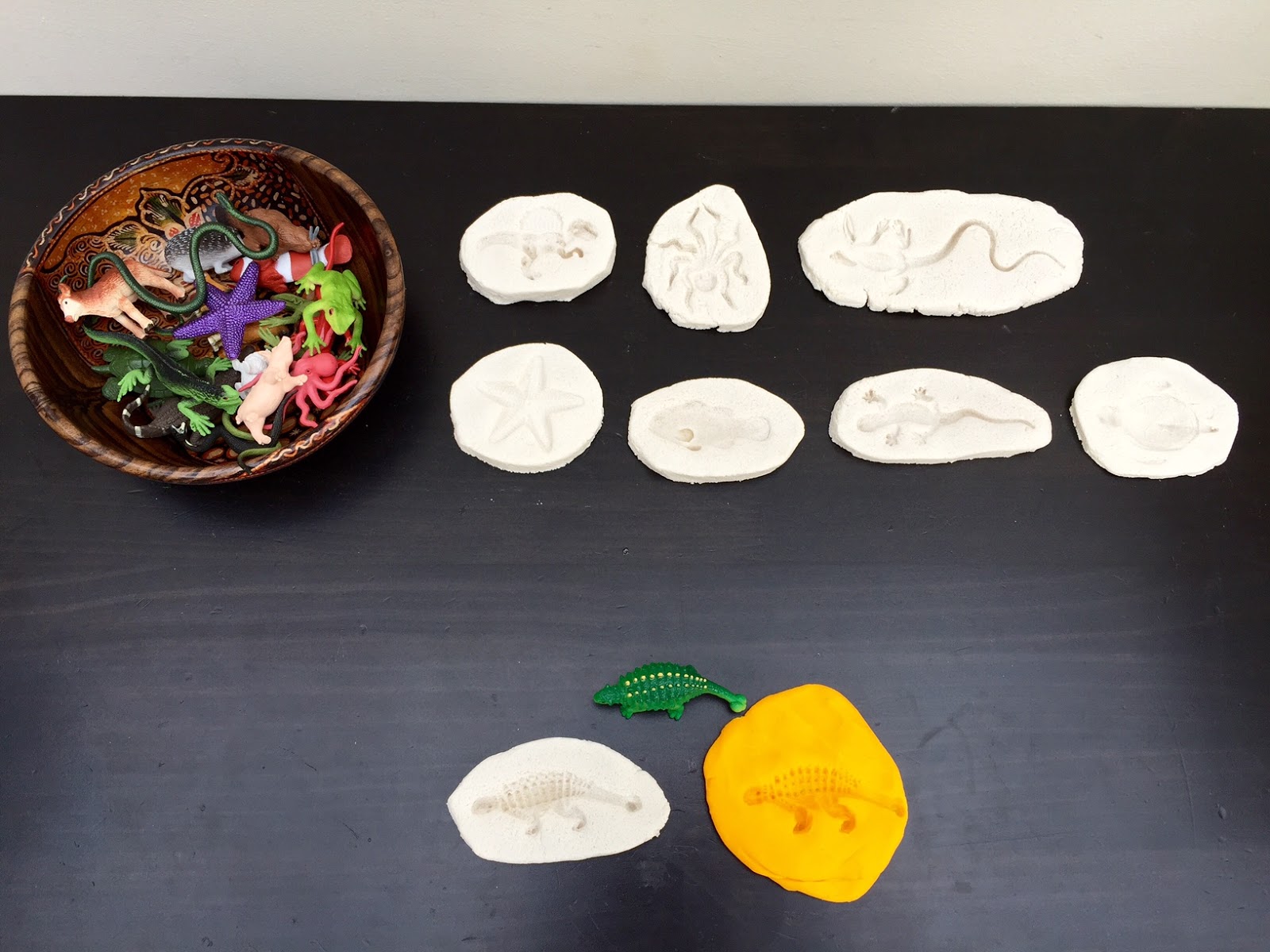 Wugs and Dooey: Matching Animals with their Fossils