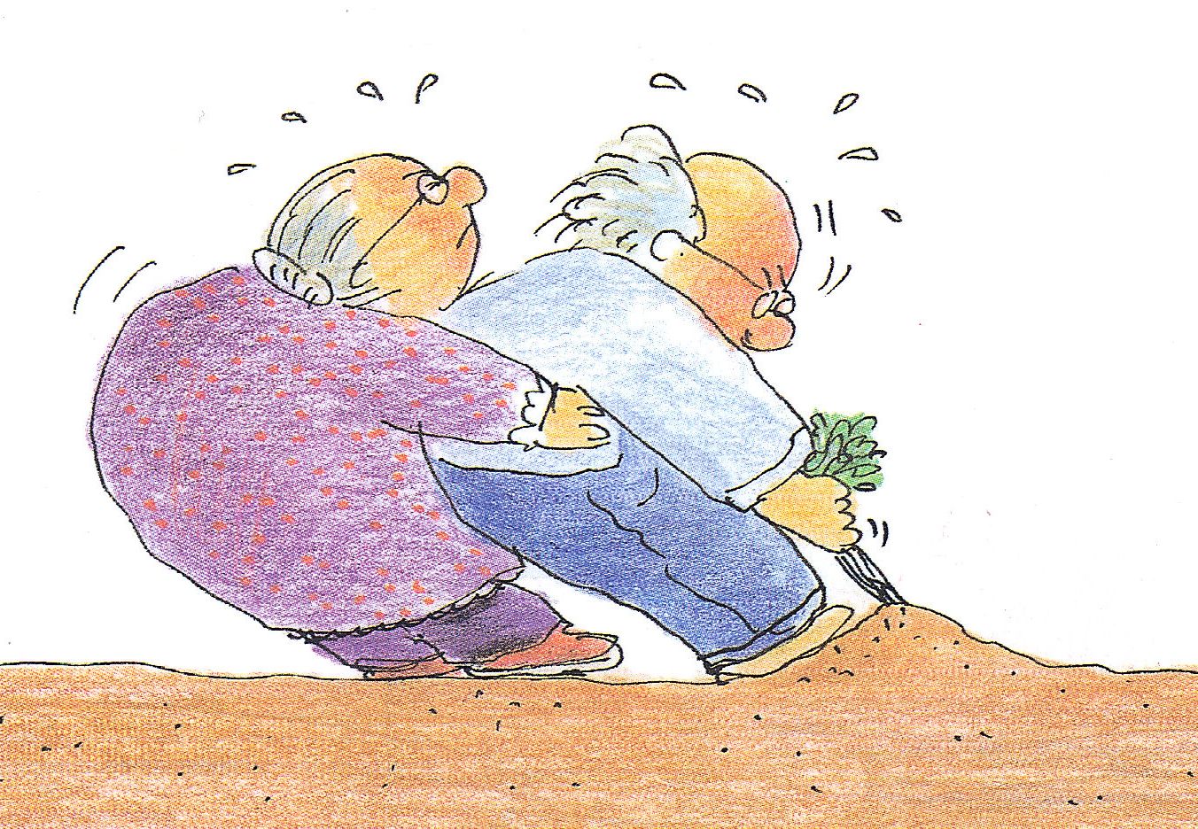 Na escola a gente aprende: Plano de trabalho - "O grande rabanete ...