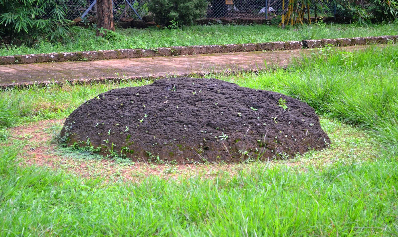 Backpack: Kudakkallu parambu-Megalithic burial site Thrissur, Kerala
