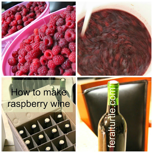 The Feral Turtle: Homemade Raspberry Wine