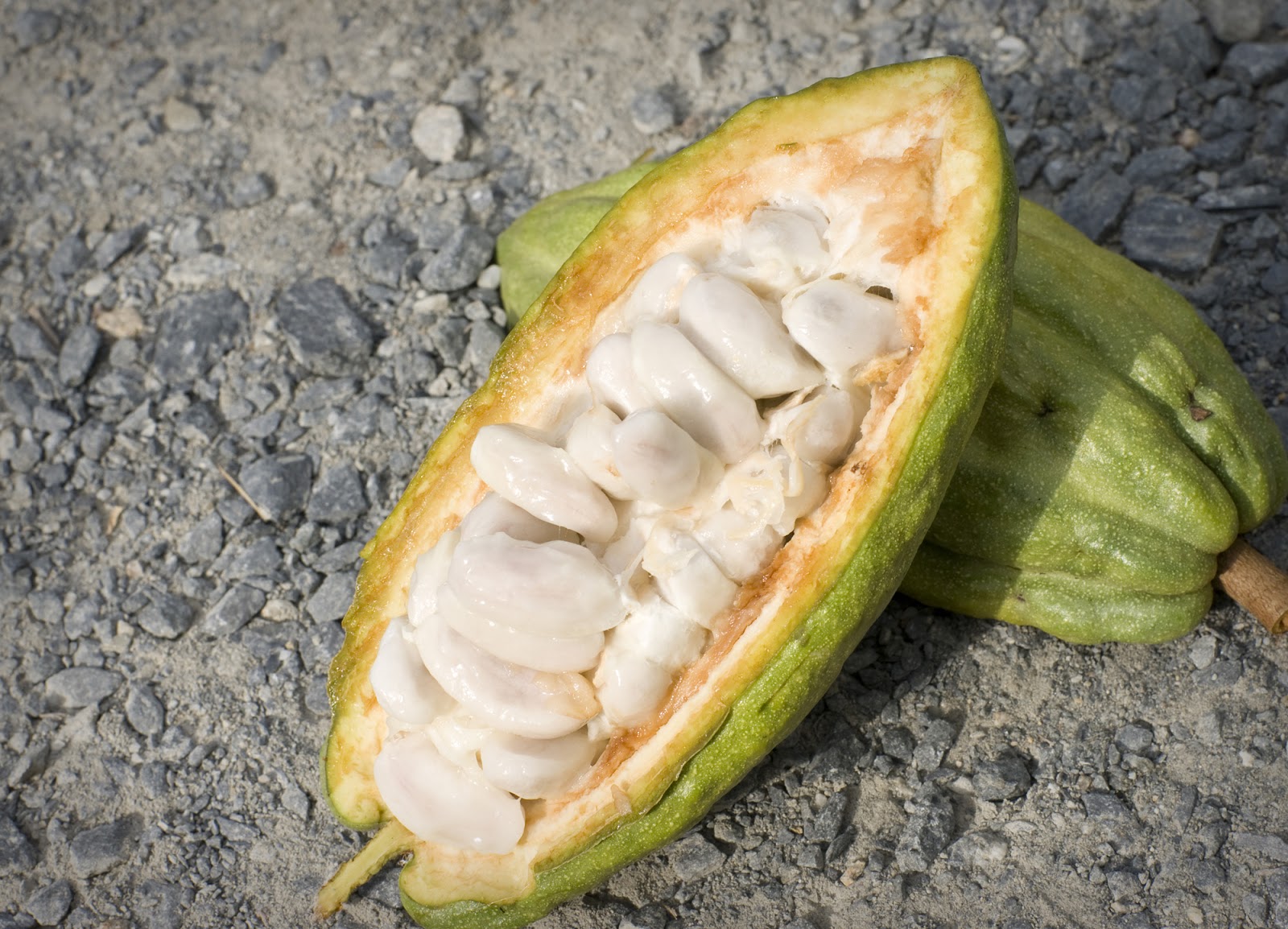 Chocolade met een verhaal.