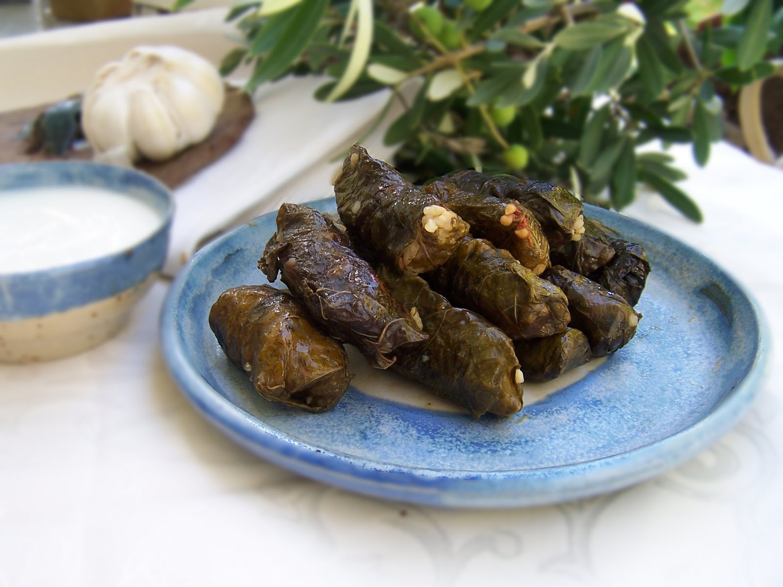 Irakisk mat: Vinbladsdomla