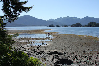 World Bird Sanctuary: Alaska Cruise: Day 4 – Sitka