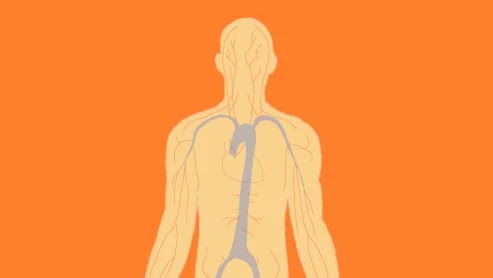 Bagaimana Jalan Meridian Tubuh Bisa Terganggu - Terapi Jarum