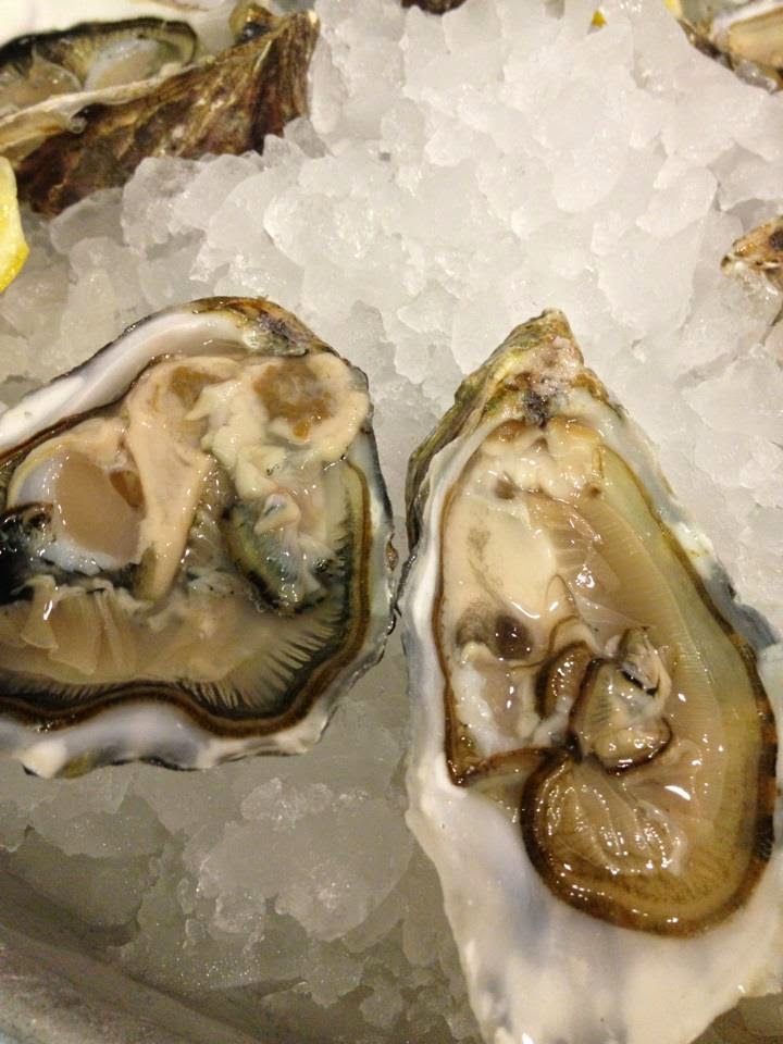 Oysters - Variants