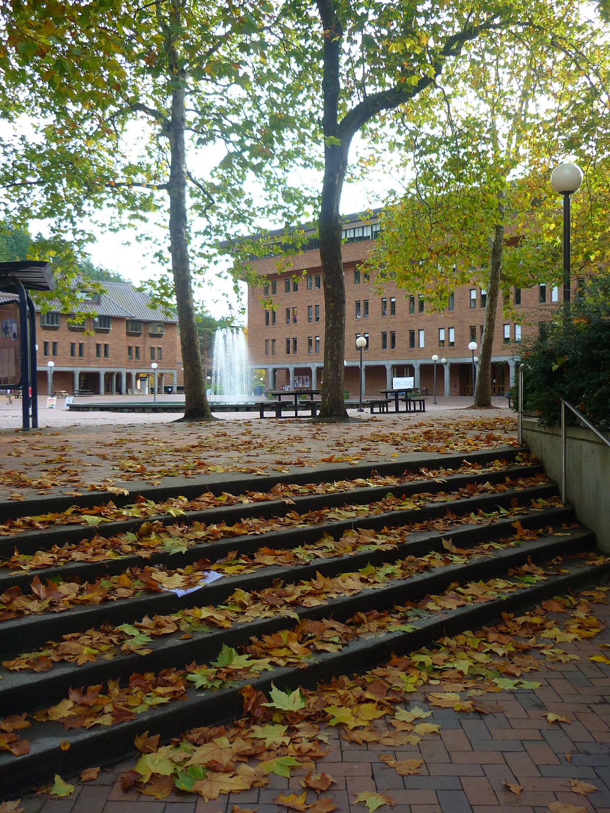 September Tea: Western Washington University.