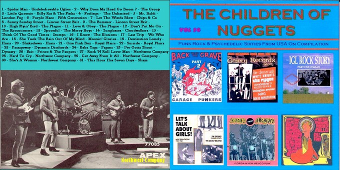 SIXTIES BEAT: The Children Of Nuggets Vol 14