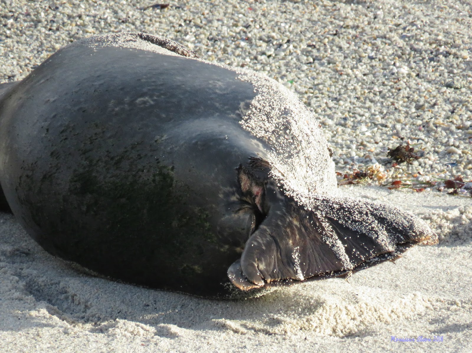 Linda's Intuitive Images - LMH: Miracles, Rainbows and Hope - A Harbor ...