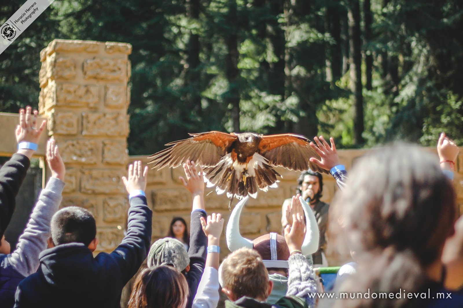 SHOW MEDIEVAL EN MÉXICO | ESPECTÁCULO MEDIEVAL CDMX: 6° Festival ...