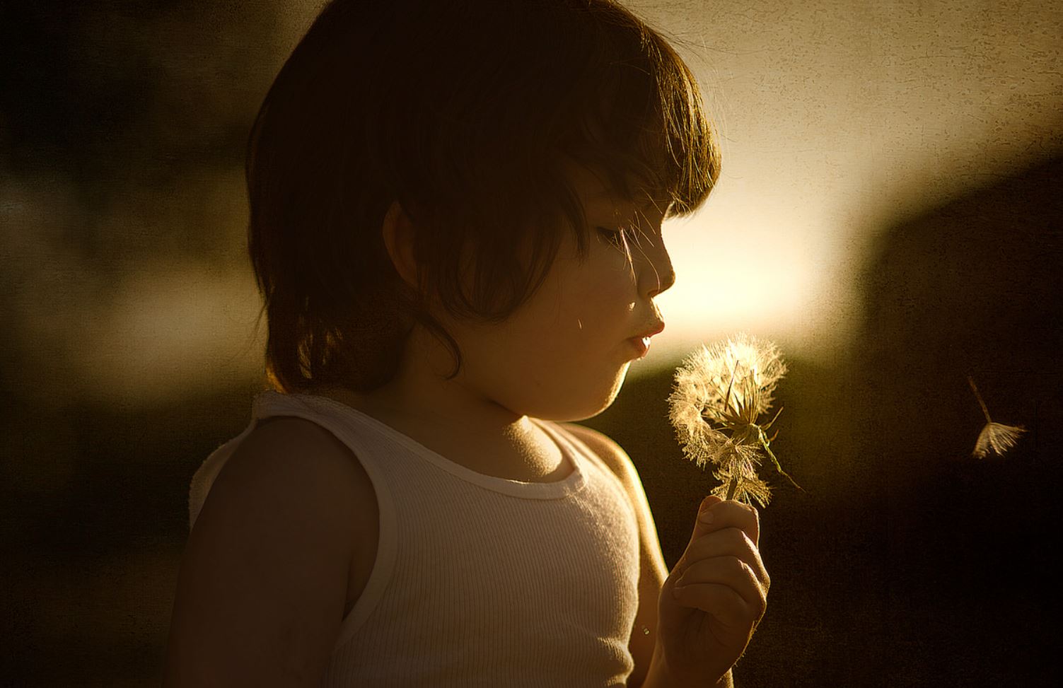 zmdkid shota: zmdkid shota - 36 to 37