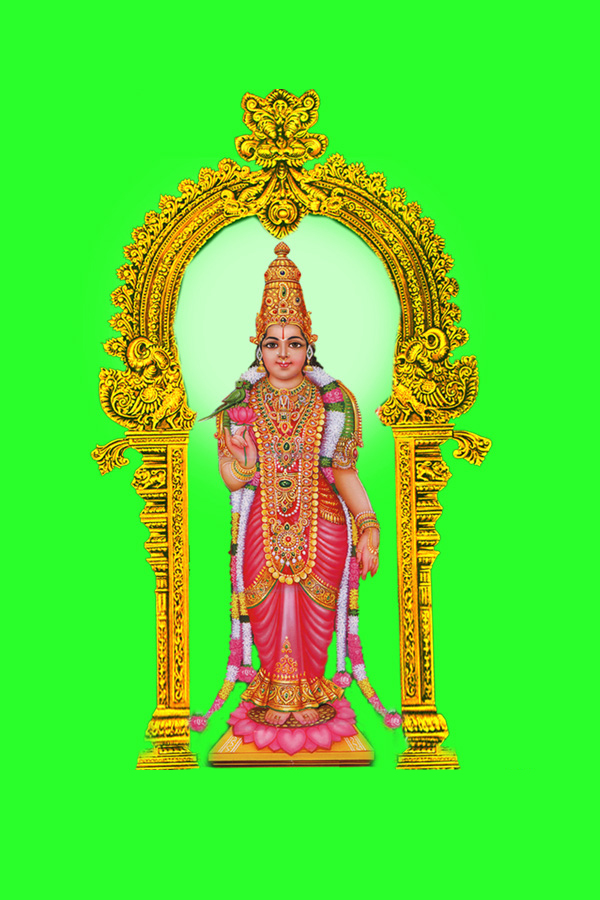 Aditya Graphics: Throwpathi Amman Image