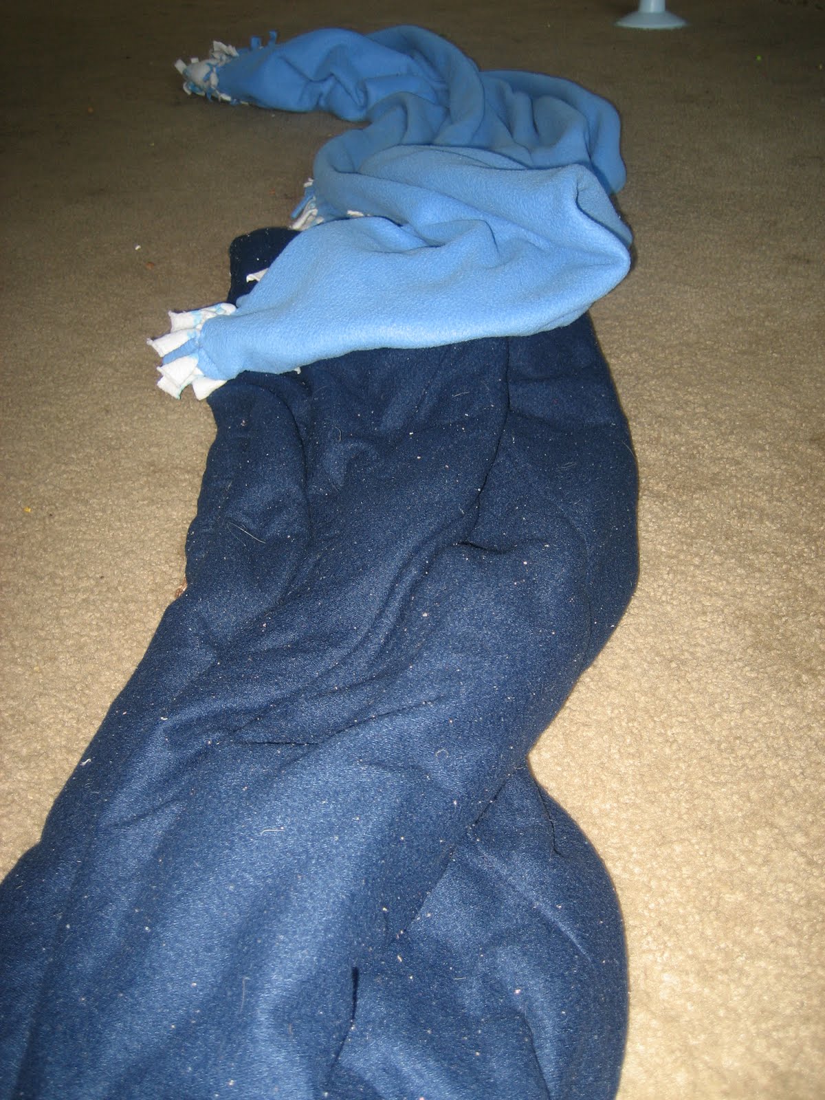 The Preschool Experiment: Tot School: Camping/Bears