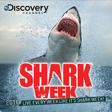 New Age Mama: Shark Week Products to Help Fans Celebrate July 5th Debut
