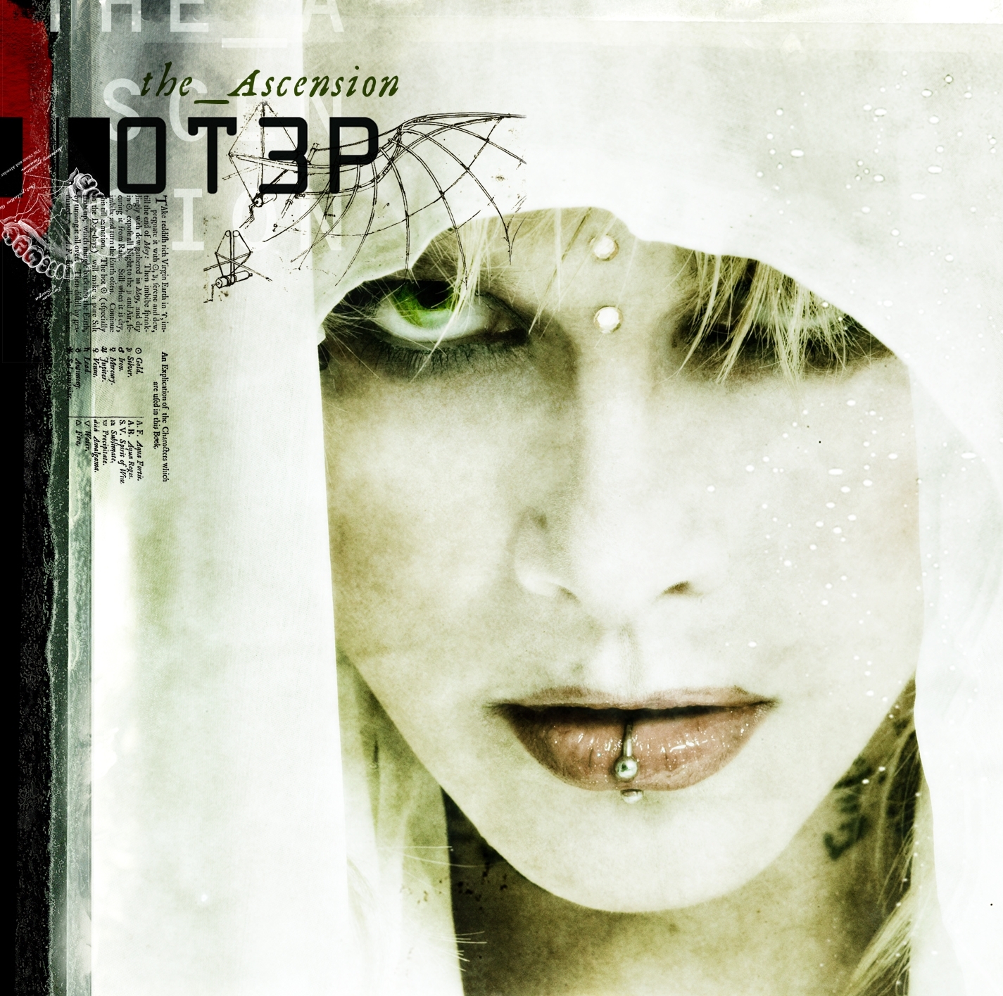 Otep Shamaya | Otep, Album cover art, Album covers