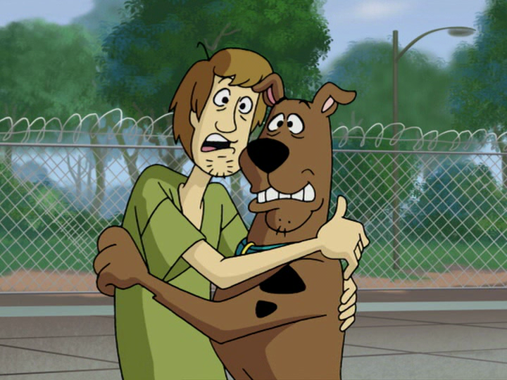 What's New Scooby-Doo: Gold Paw