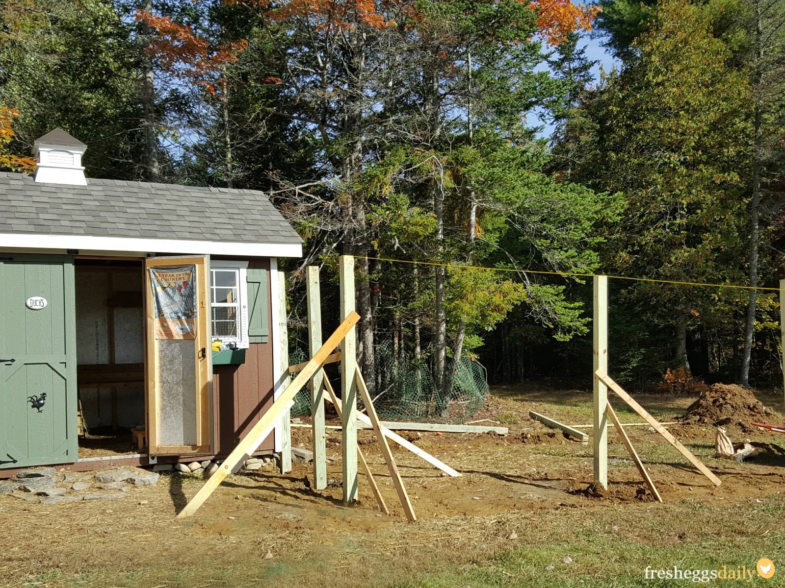 How to Build a Predator-Proof Chicken Run - Fresh Eggs Daily® with Lisa ...