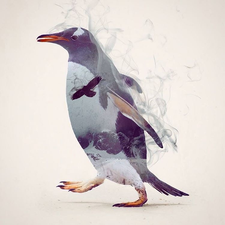 Design Stack: A Blog about Art, Design and Architecture: Ghostly ...