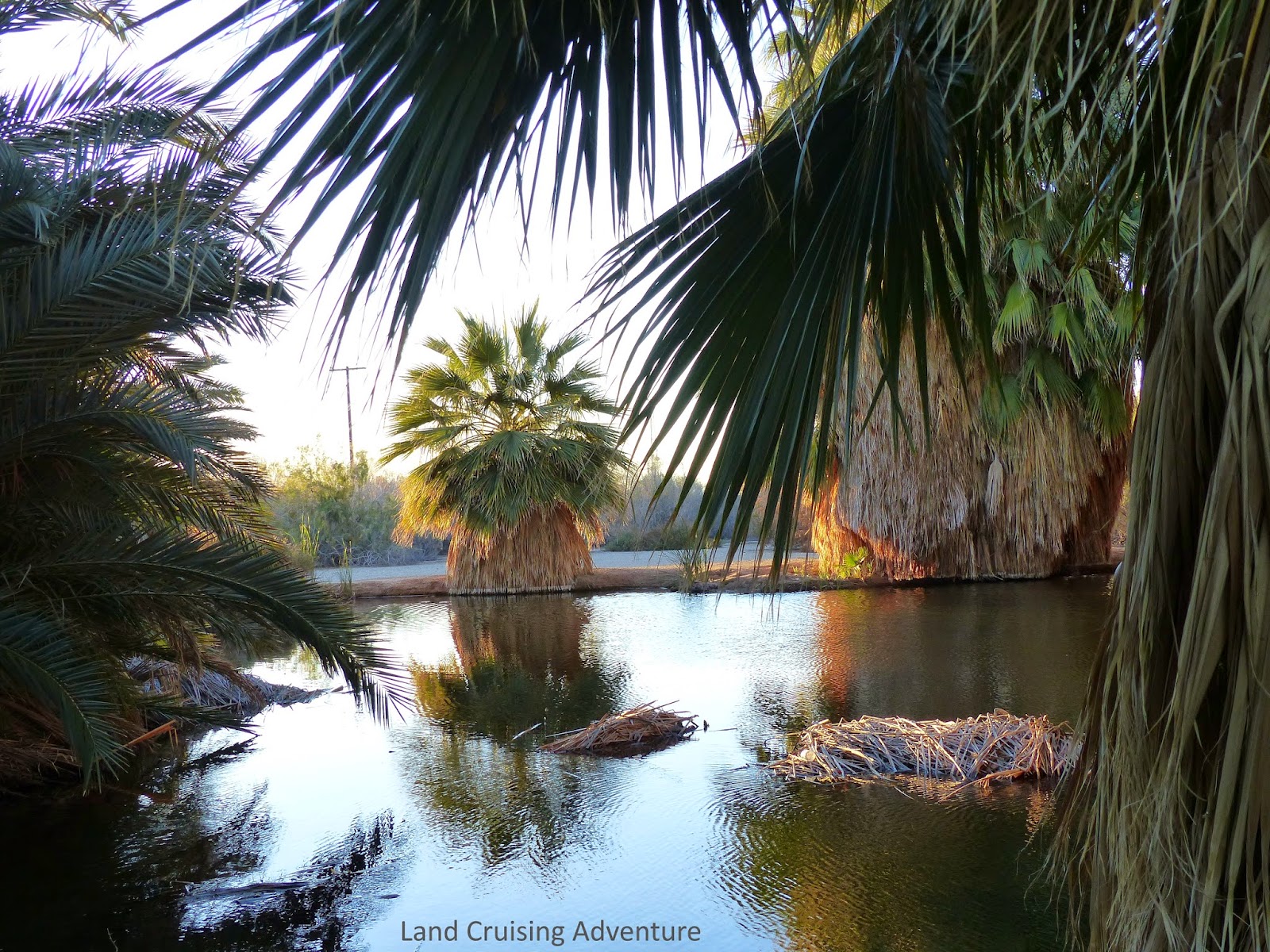 Land Cruising Adventure: California Oasis