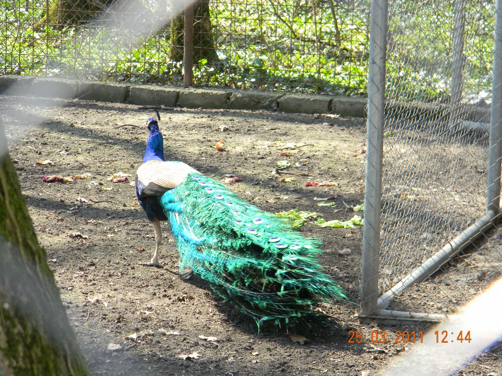 Trip-ideas: Gradina Zoologica din Timisoara