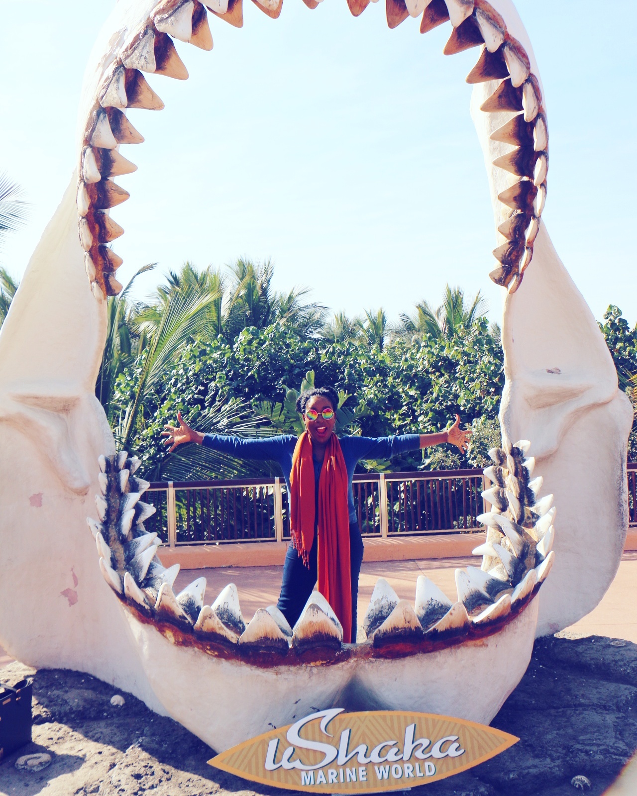 SISIYEMMIE'S SOUTH AFRICAN TOUR | DURBAN DIARY DAY 2 | USHAKA MARINE ...